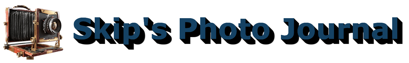 Skip's Messy Workbench